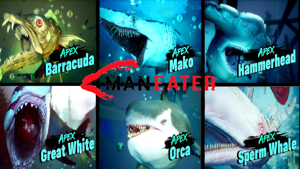 Maneater | All Bosses | All Apex Predator | #bossfight - YouTube