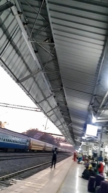 Pathankot railway station took over by a flock of Birds 🐦🐦🐦#train # ...
