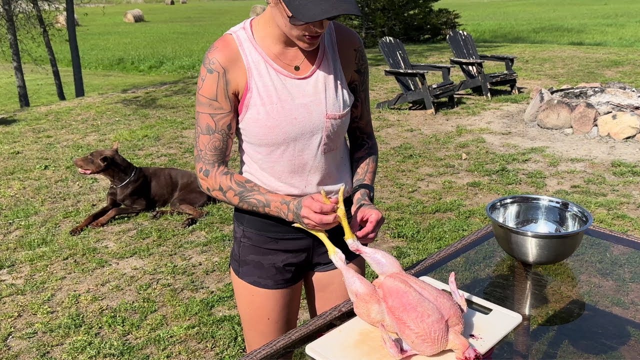 How To Easily Process A Meat Bird (Chicken ) For Beginners - YouTube