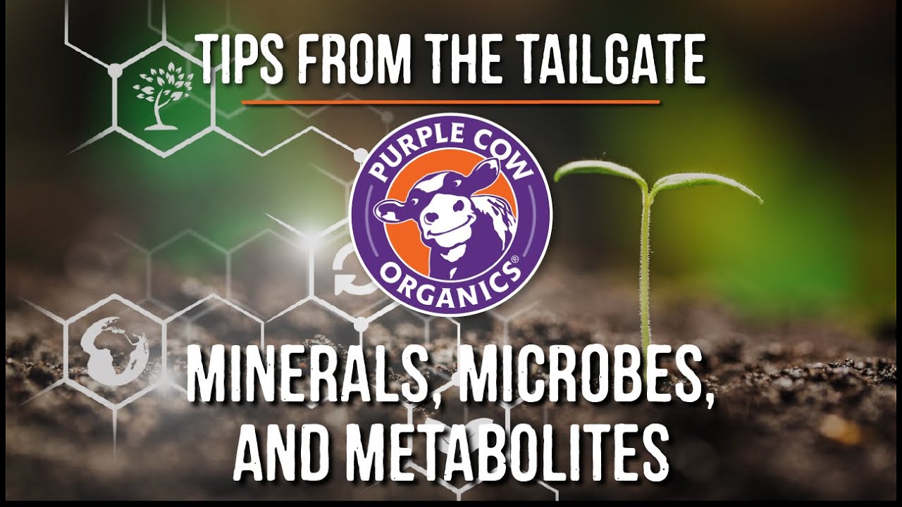 Minerals, Microbes and Metabolites - YouTube
