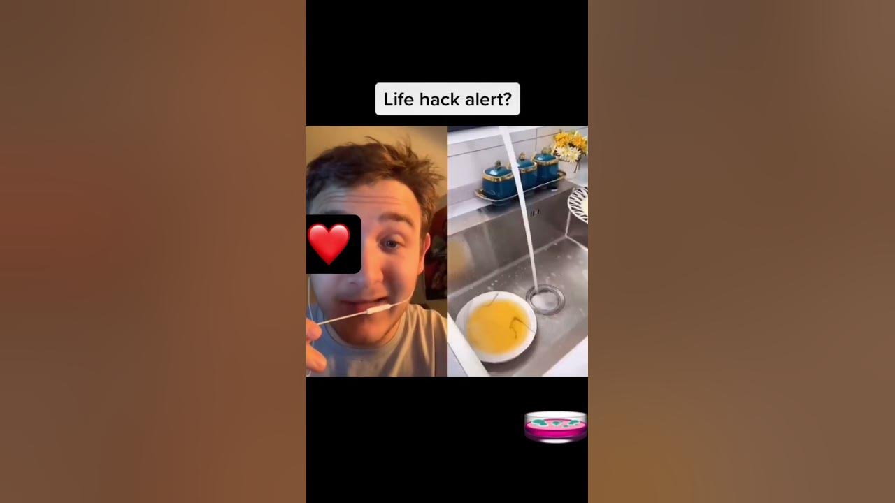 Tag That Dude Funny Ginoreacts Subscribe Viral Comedy Grow Laugh