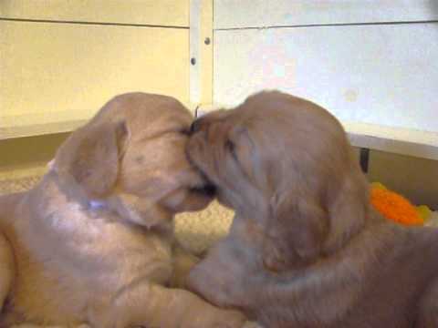 Bitey Face is Fun! - YouTube