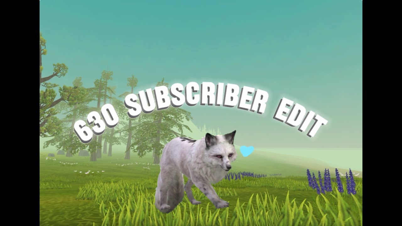 630 SUBSCRIBER SPECIAL 🐾 - YouTube