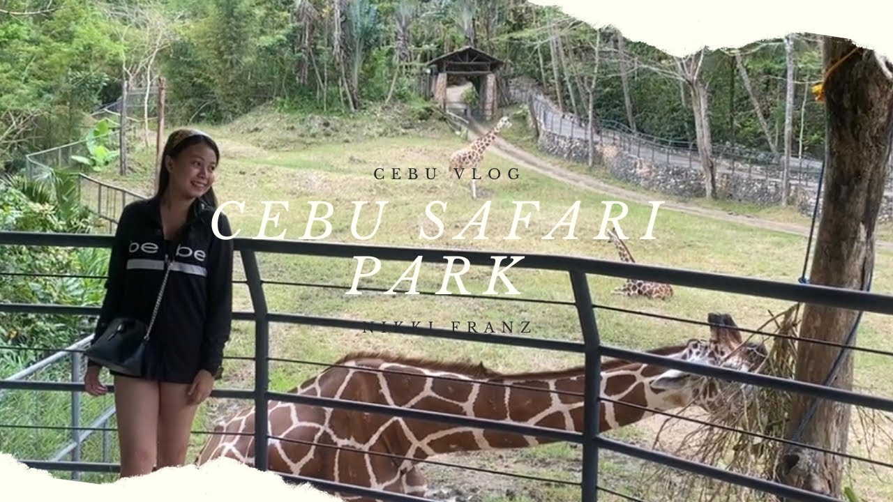 Cebu Safari Park | Cebu Travel Vlogs Part 2 | Nikki Franz - YouTube