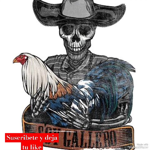 El gallo del diablo - YouTube