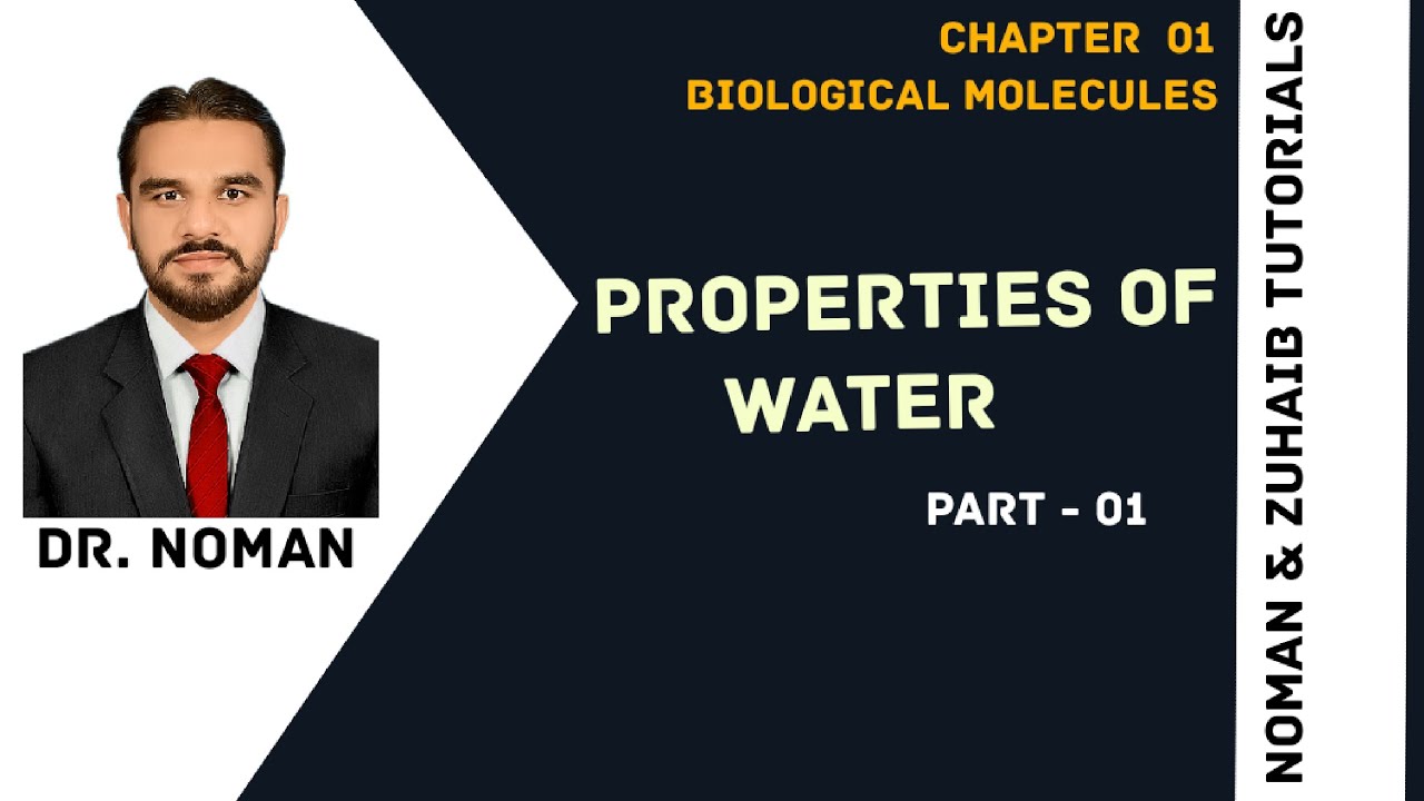 L 1 - Properties of Water (Part - 01) | Biological Molecules| Biology ...