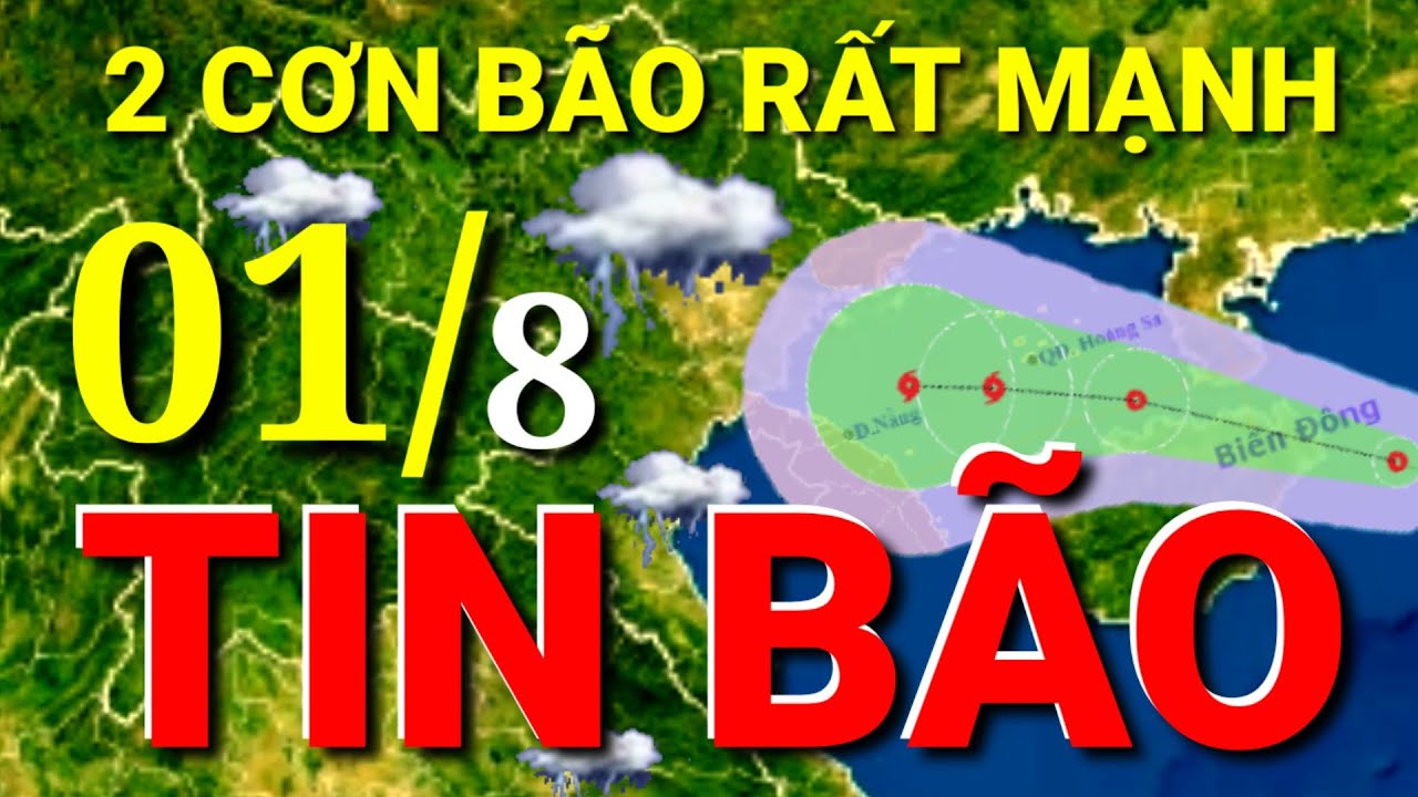 Weather forecast today, tomorrow August 1 | Weather forecast for the ...