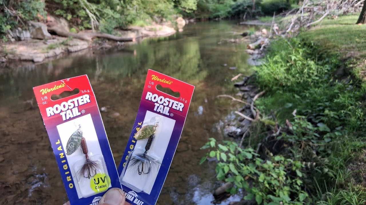 Searching for Rainbow Trout with Rooster Tails - YouTube