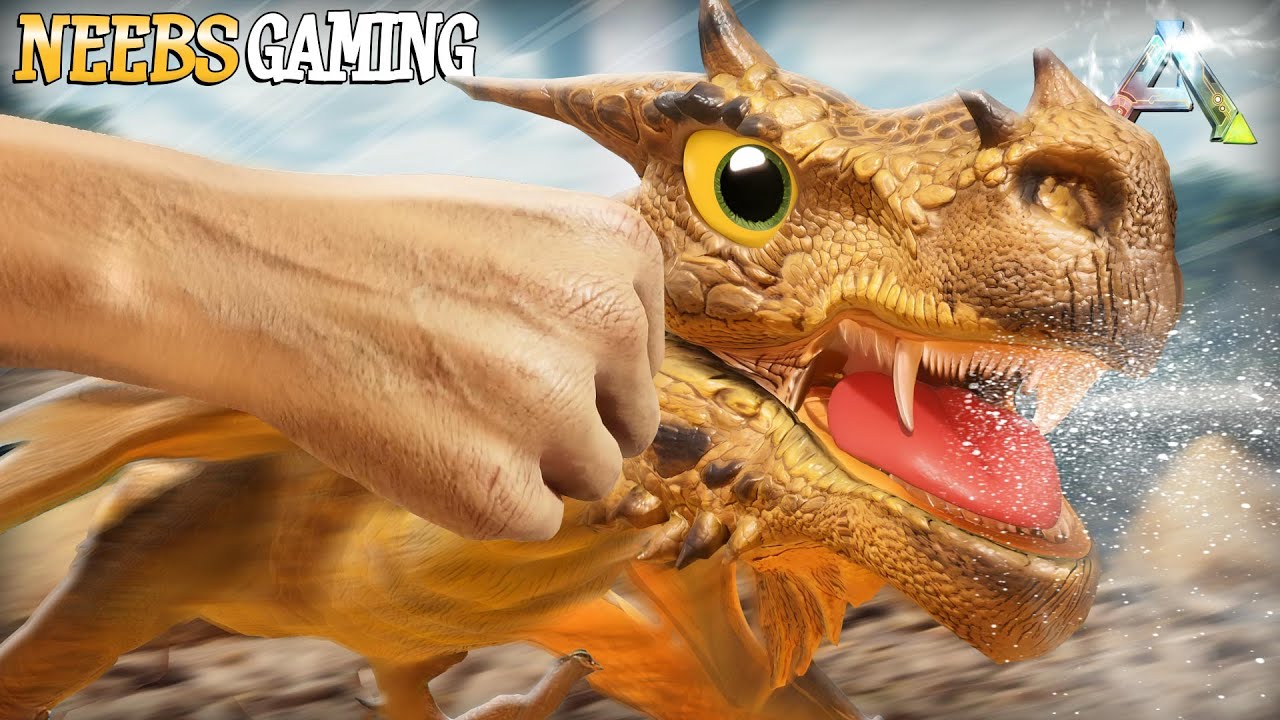 Stop Punching Baby Dragons!!! - Ark Survival Ascended - YouTube