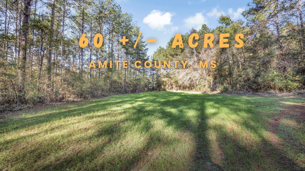 60+- acres in Amite County, MS - YouTube