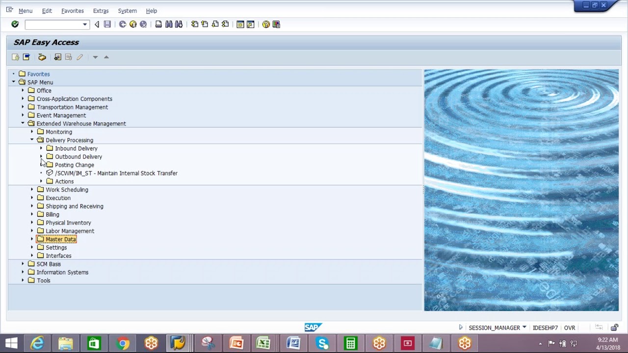 SAP EMW 49 - YouTube