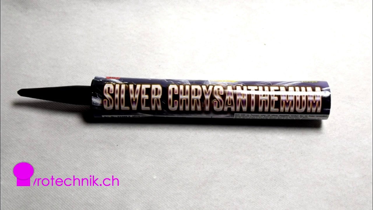 Trible Big Bang | Silver Chrysanthemum | Nico - YouTube
