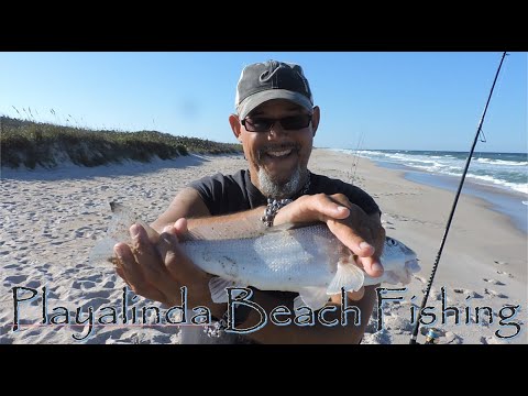 Perfect Day for Florida Beach Fishing: Whiting and Catfish - YouTube