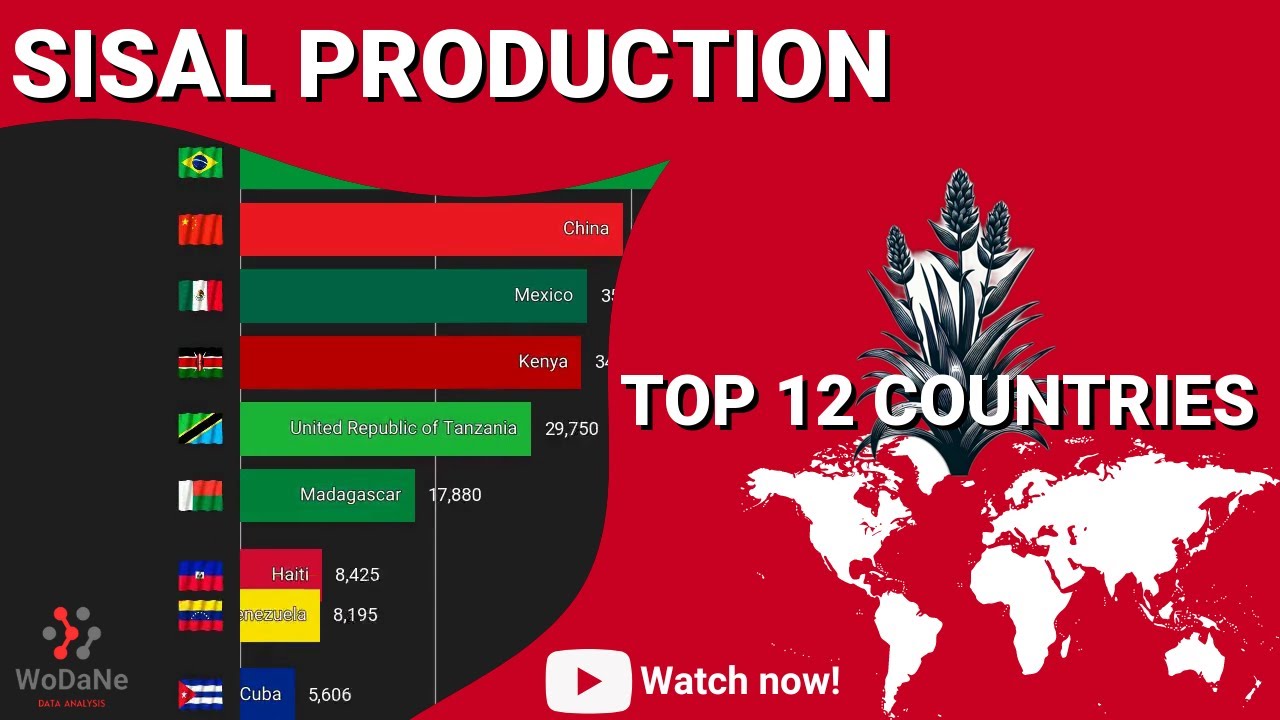 TOP 12 countries by Sisal Production - YouTube