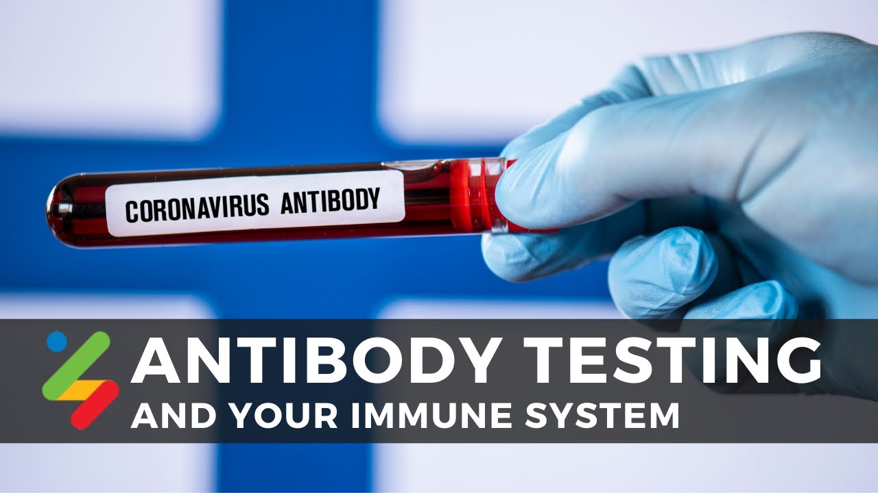 Anti Body Testing & Your Immune System - YouTube