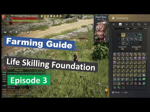 BDO - Life Skilling Foundations - In Depth Farming Guide - YouTube