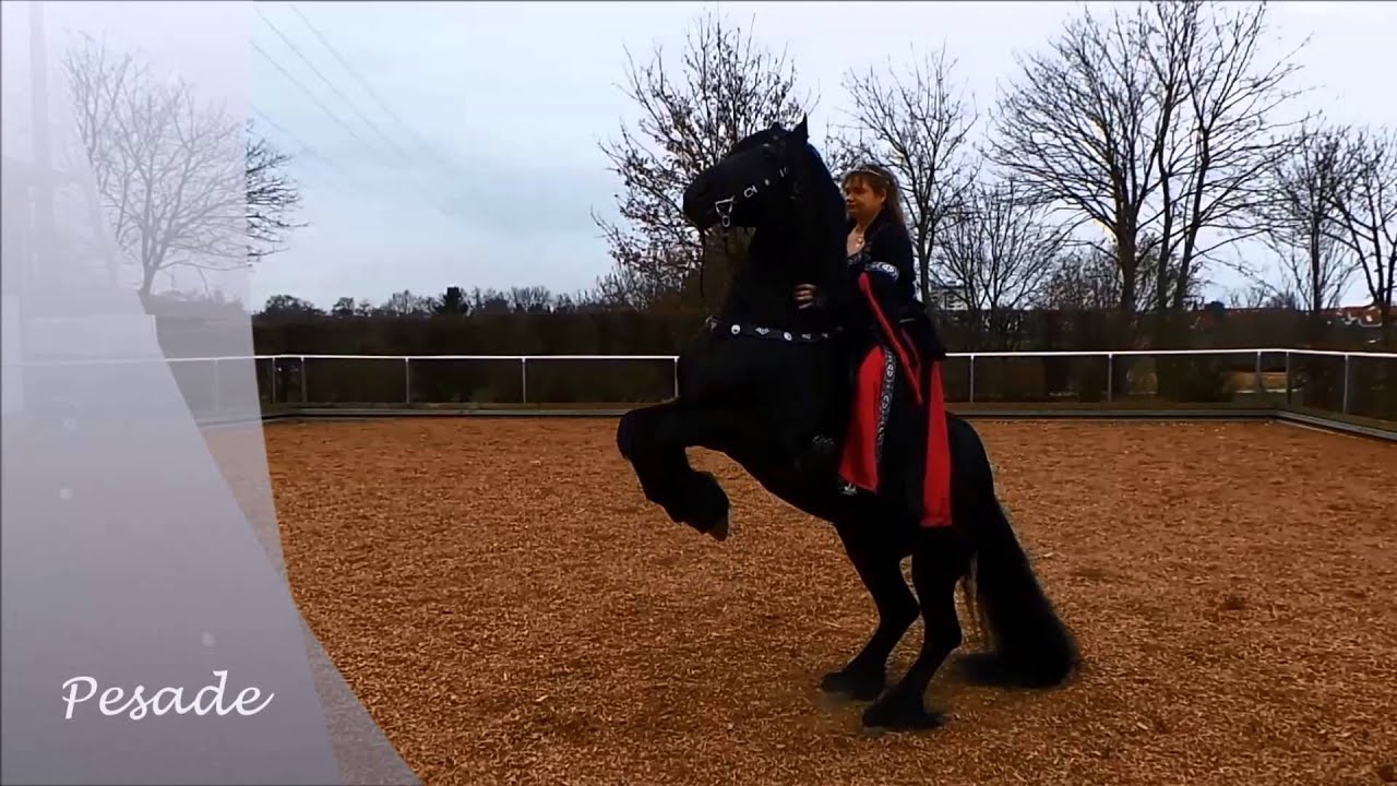 Pesade - YouTube