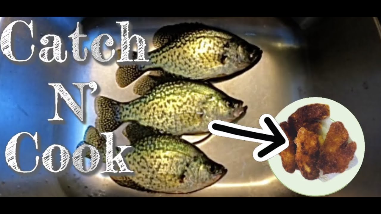 Fishing for some tasty crappie (CATCH AND COOK)!!! - YouTube