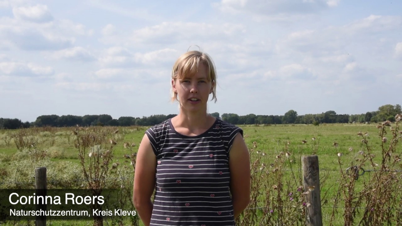 Interview of Corinna Roers - YouTube