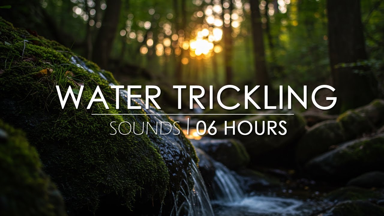 Pure Water Trickling Sounds 🌿🧘‍♀️ Stress Relief & Peace No Ads Ambient ...