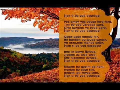 Talis şeyiri