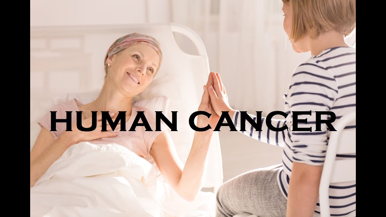 😱😱😱 Understanding Human Cancer - YouTube