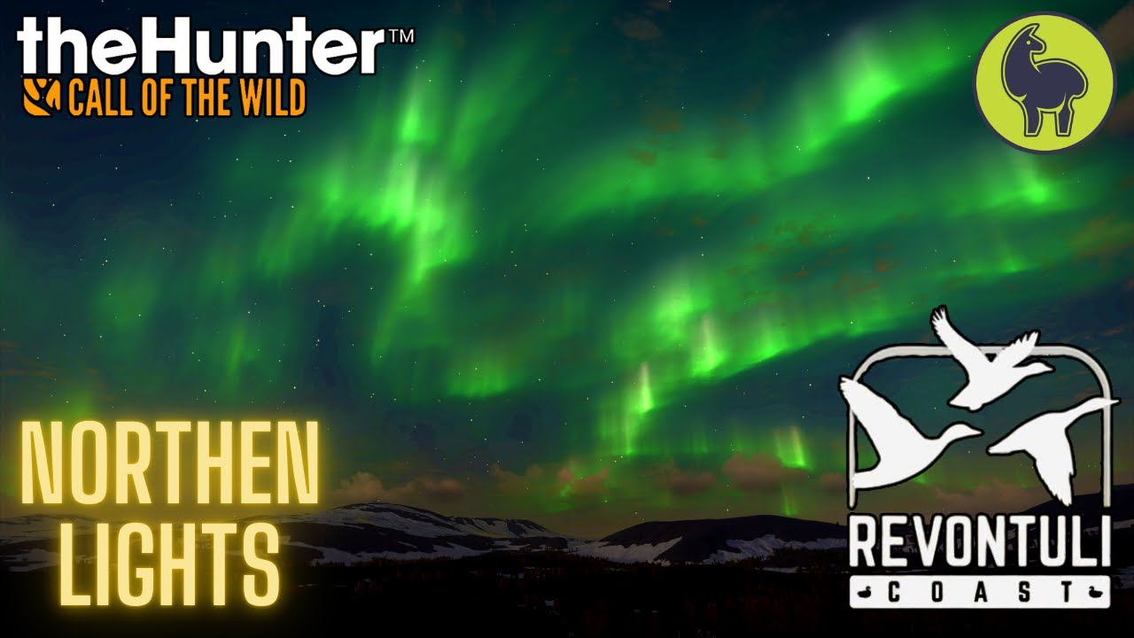 Northern Lights, Revontuli Coast | theHunter: Call of the Wild (PS5 4K ...