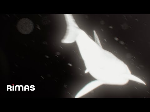 Yandel - Donde Fue Cuando Fue (Visualizer) / Infinito