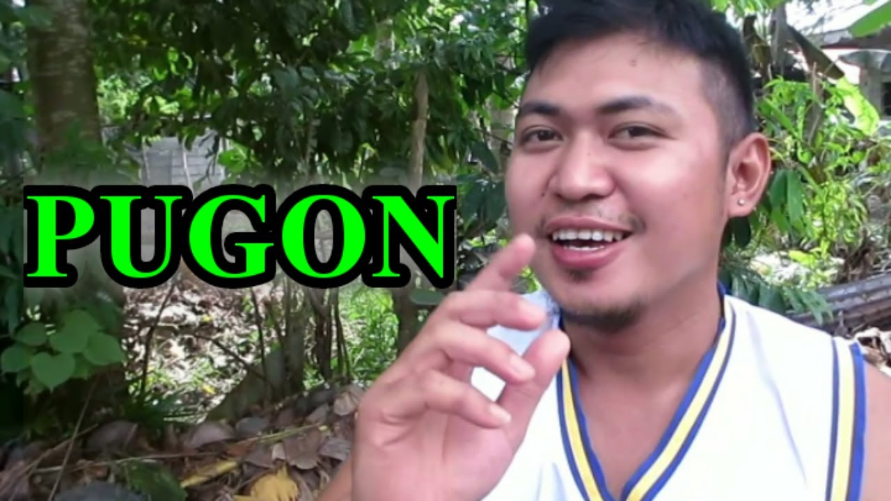 DIY PUGON || GUMAWA KAMI NG PUGON SA LUPA || CLARK VALEN OFFICIAL - YouTube