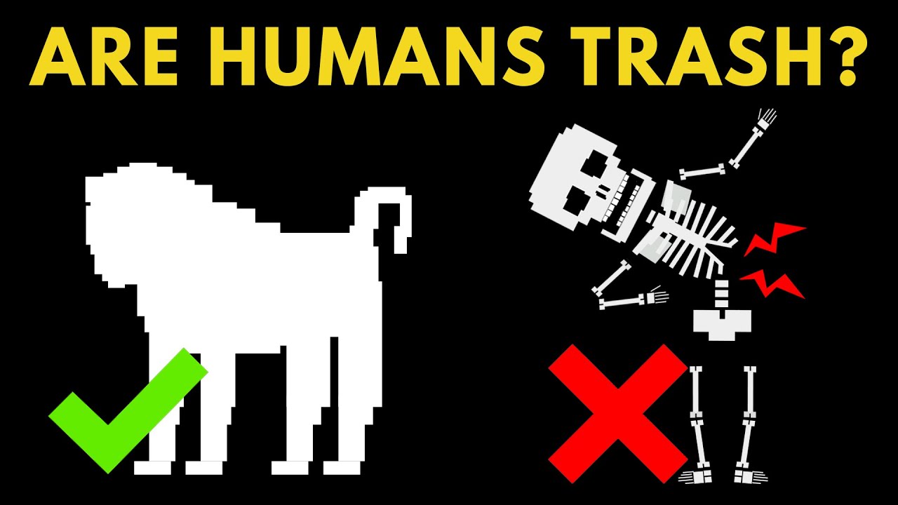 The BIG Problems With The Human Body ft. TierZoo - YouTube