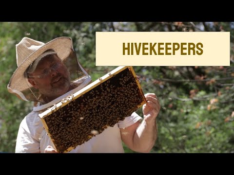 Hivekeepers | Beekeeping Short Documentary - YouTube