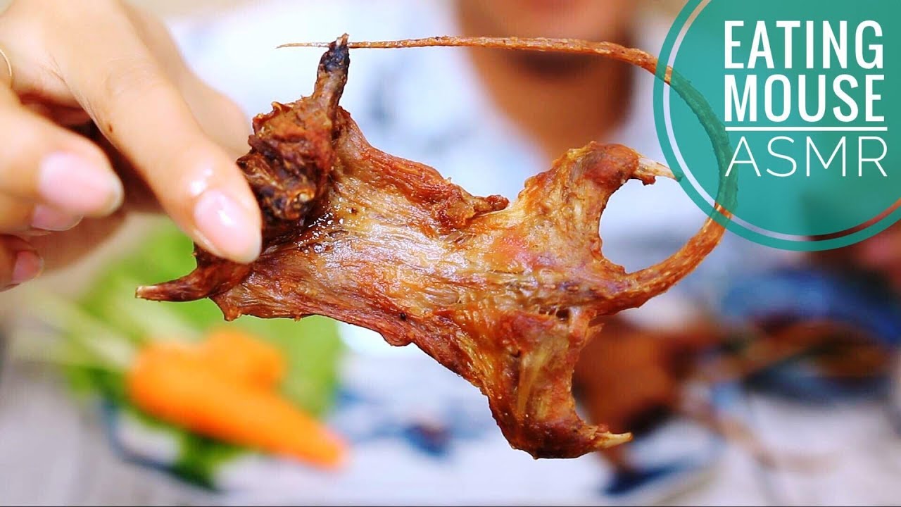 ASMR eating DEEP FRIED RICE MOUSE, VietNam Exotic food , EATING SOUNDS ...