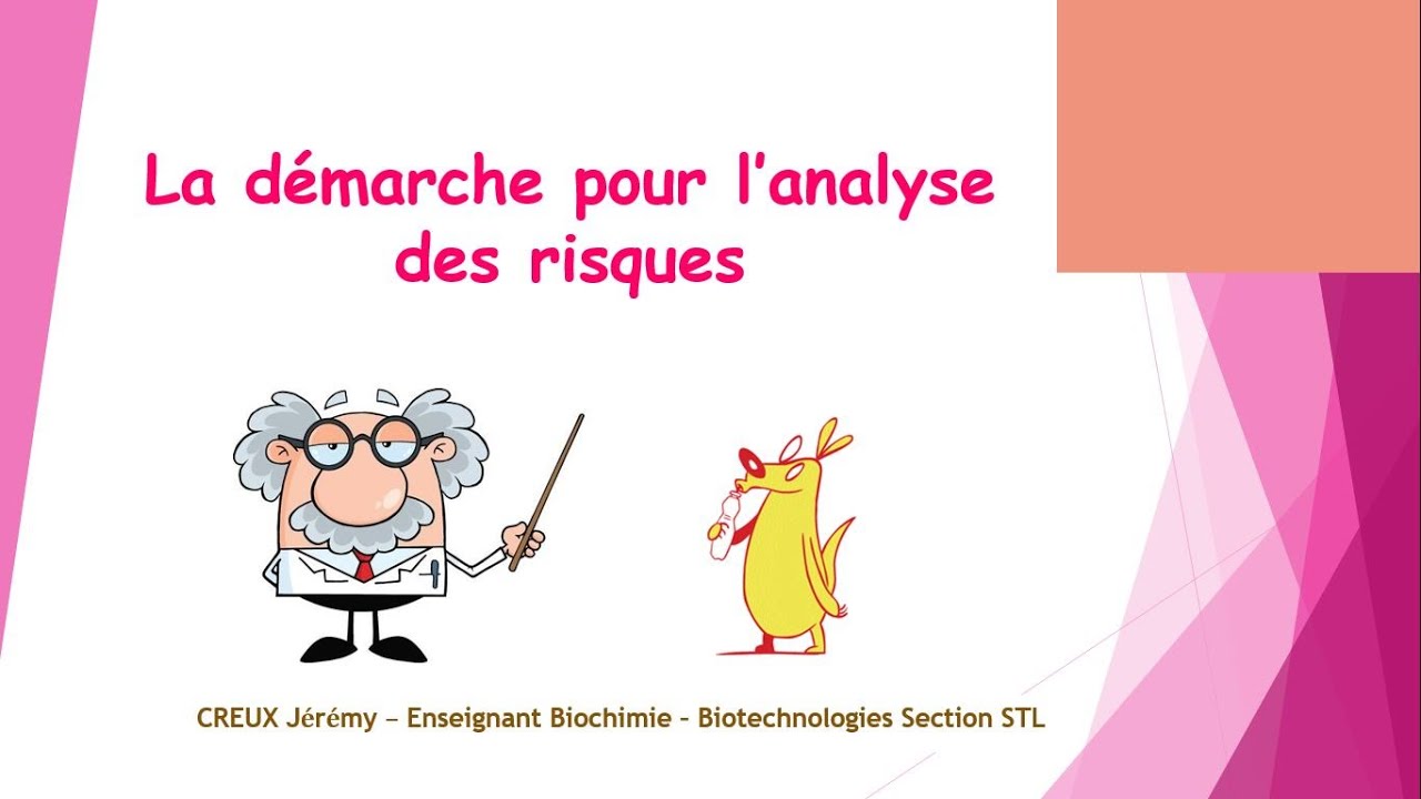 Tuto Démarche pour l'analyse des risques - YouTube