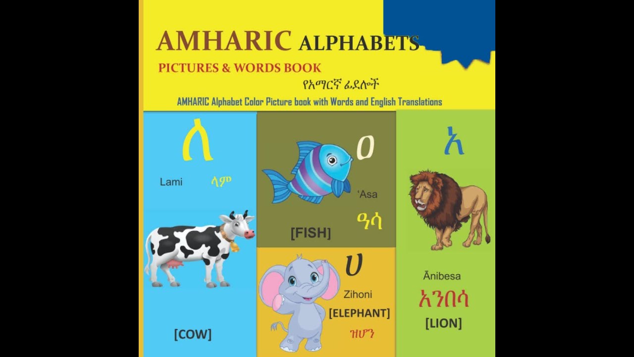 የአማርኛ ፊደል ገበታ Amharic Letters Youtube