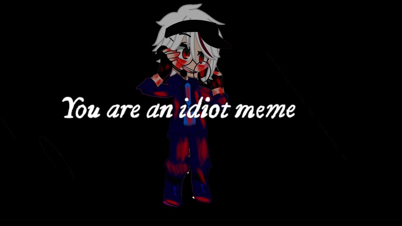 You are an idiot meme - YouTube