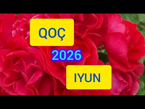 QOÇ BÜRCÜ.♈ IYUN. ❤️ TARO-PROQNOZ. 🌹 2026. 