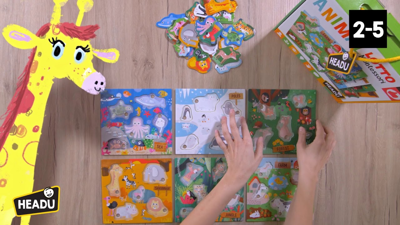 EN Animal Lotto Montessori - YouTube