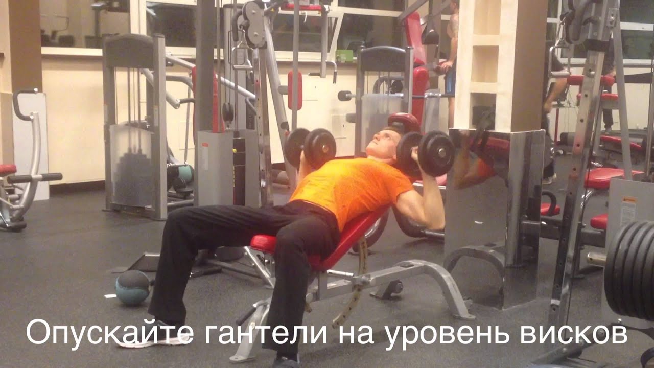 Жим гантелями на наклонной скамье Youtube