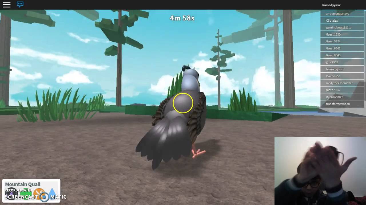 (roblox) bird simulator - YouTube