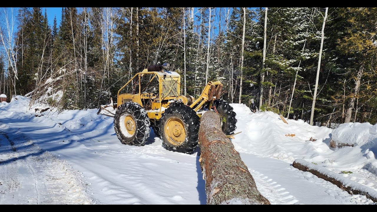 LOGGING SKIDDER PINE AND CEDAR in the snow - YouTube