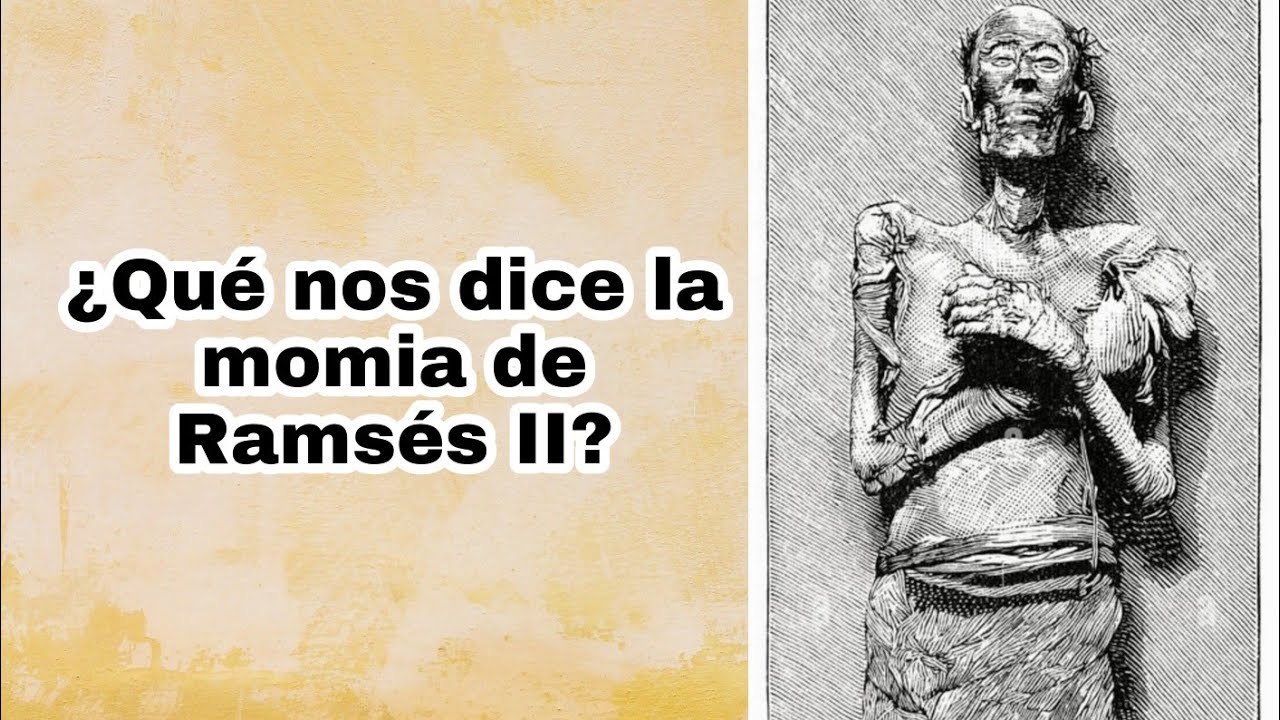 ¿Qué nos dice la momia de Ramsés II? - YouTube