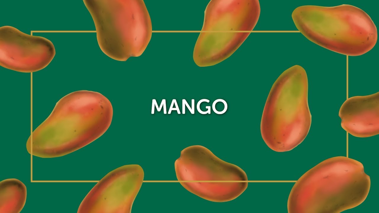 MANGO - DIANA COMPANY & @TOJIDLO - ŠKOLA PŘÍRODY - YouTube