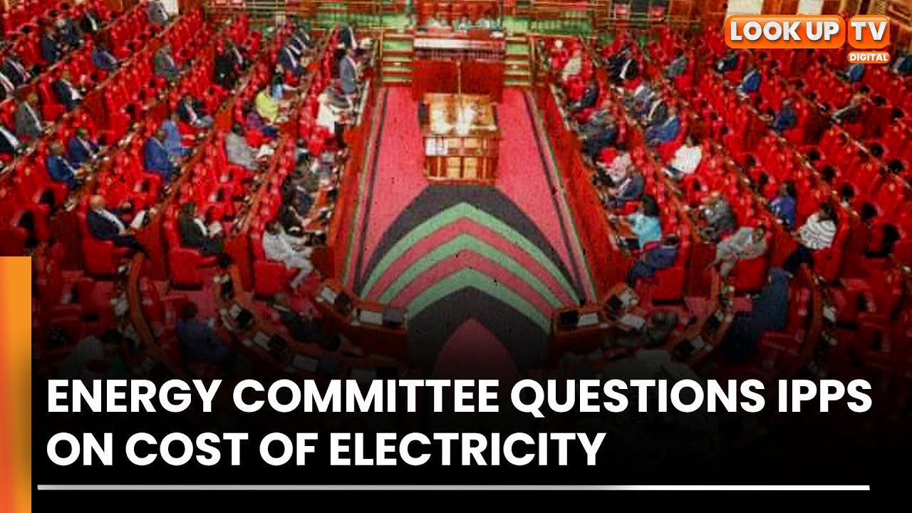 Energy committee questions IPPS on cost of electricity. - YouTube