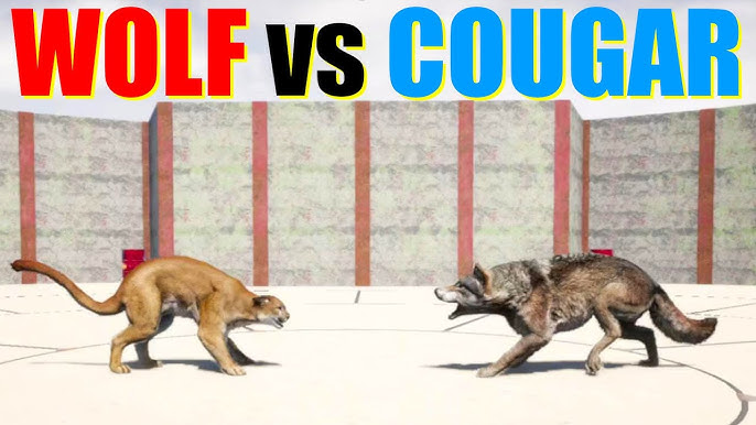 Wolf Vs Cougar Training Networks With Less Or No Data Making Low
