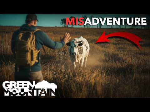 This Was NOT Part of the Plan