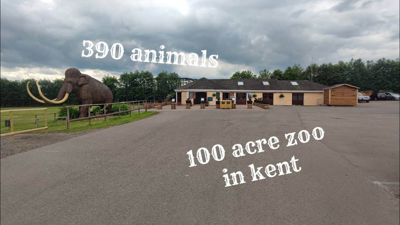 howletts wild animal park UK - YouTube