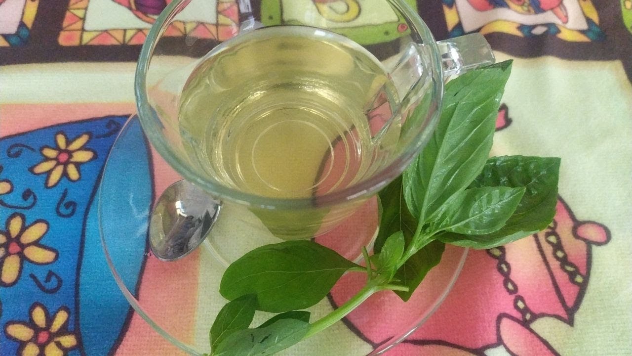 Beneficios que obtienes por ingerir té de albahaca todos los días - YouTube