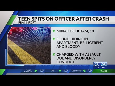 'Belligerent' Frankfort 18-year-old accused of spitting on police, DUI