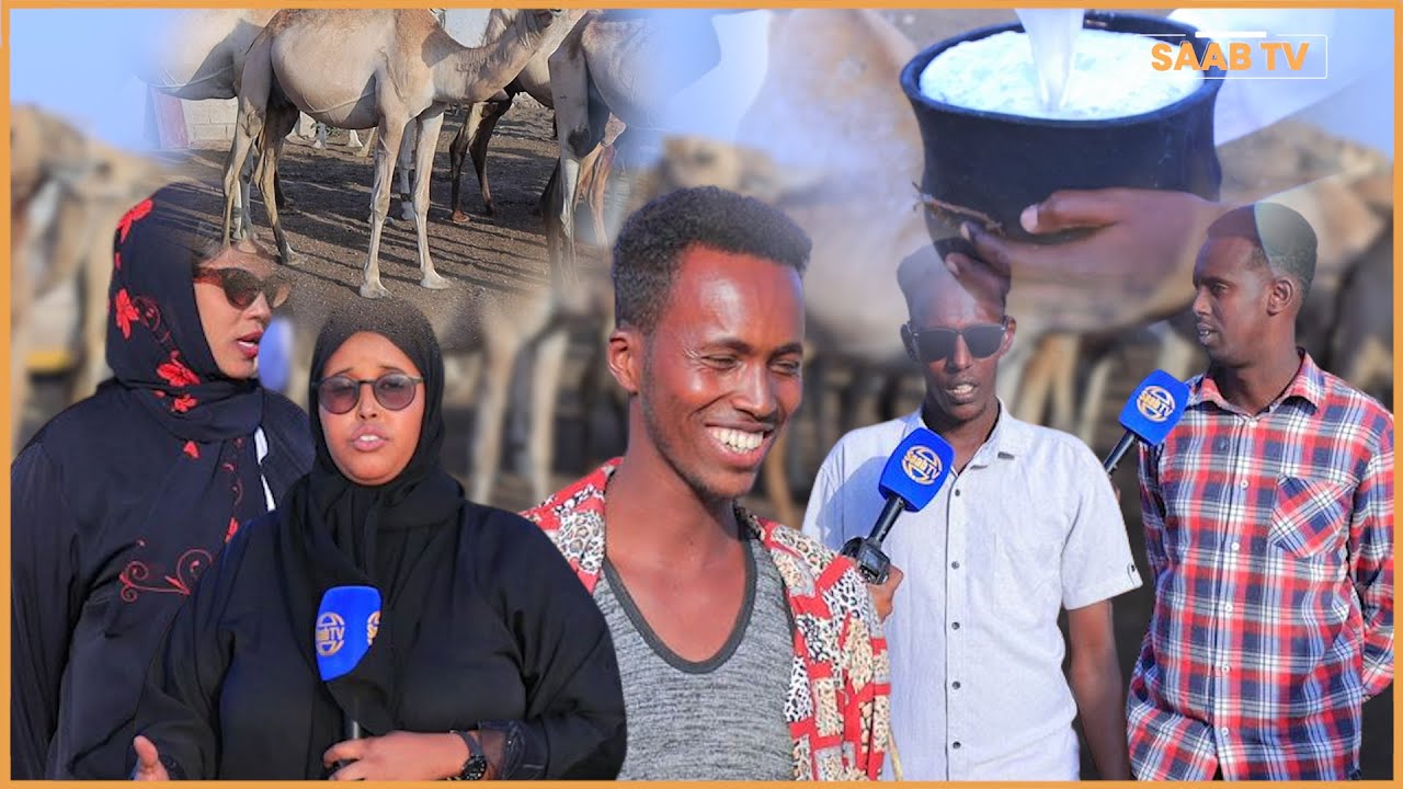 Warbixin: Xiisaha Dalxiiska Xeryaha Geella iyo Waxyaabaha Indhaha Dadka ...