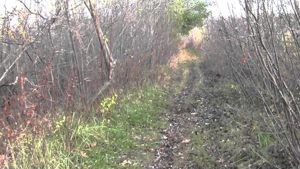 Bay Circuit Trail Ashland MA: Route 126 to the Sherborn Border. - YouTube